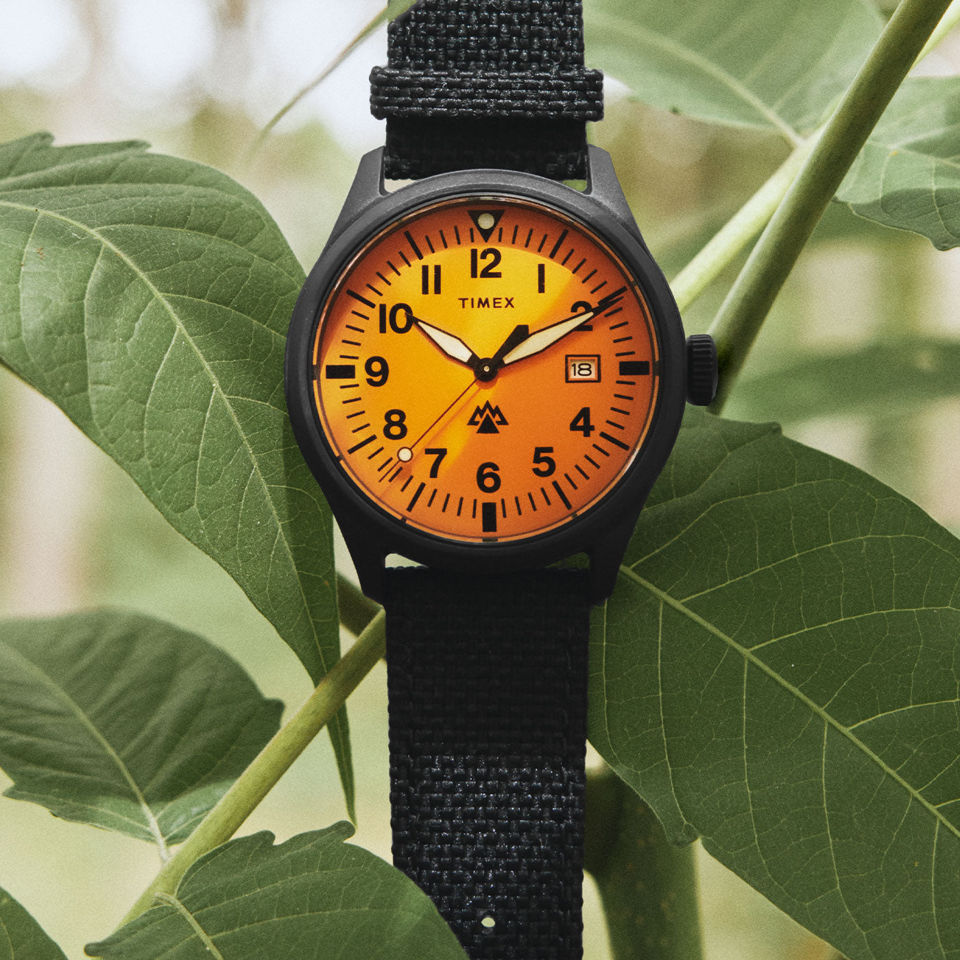 Timex Bulgaria - Надеждни часовници